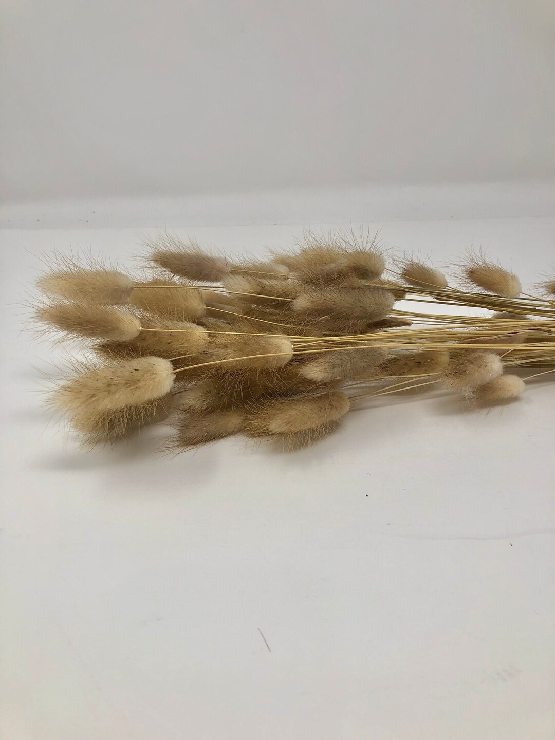 Natural / Boho Lagurus for a Sparkling Floral Arrangement,, Home Décor ...