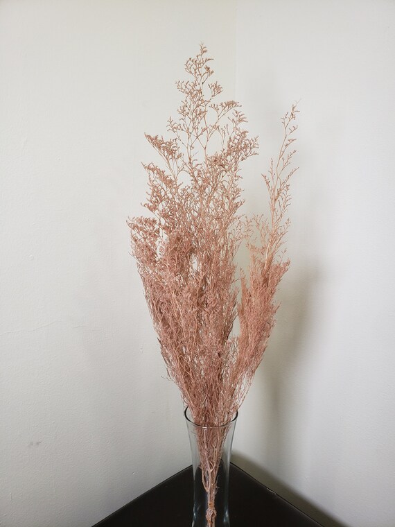 Caspia Preserved in Pink Beige Floral Arrangements Wedding - Etsy