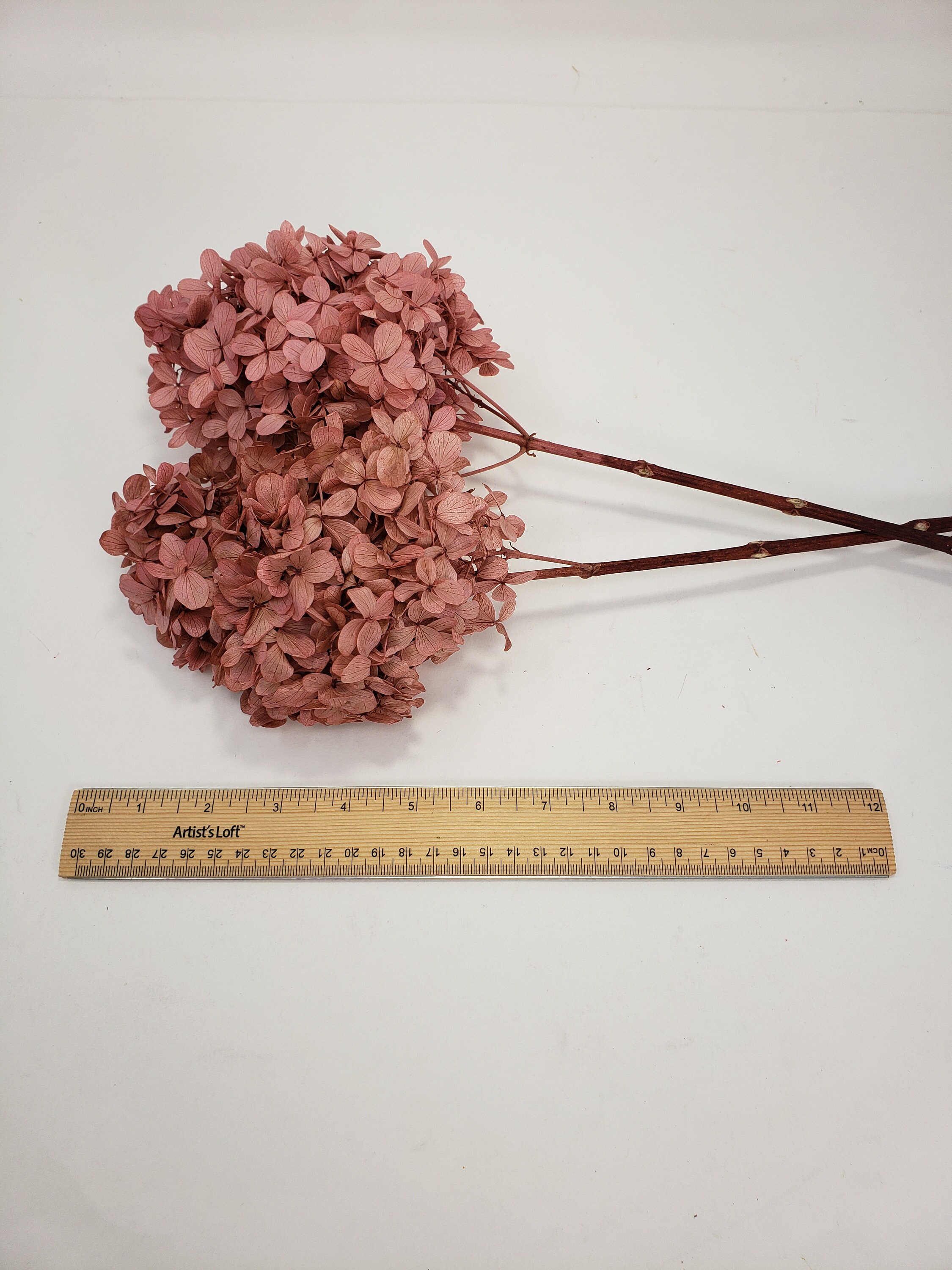 Mauve Pink/ Peegee Hydrangea W/stems High Quality Home Décor - Etsy