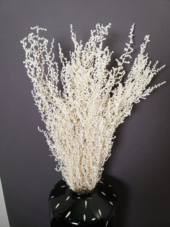 Off White / Stoebe / Preserved Leaves Pack DIY Floral - Etsy