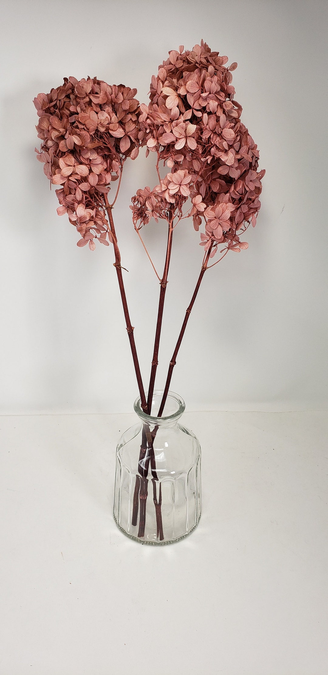 Mauve Pink/ Peegee Hydrangea W/stems High Quality Home Décor - Etsy