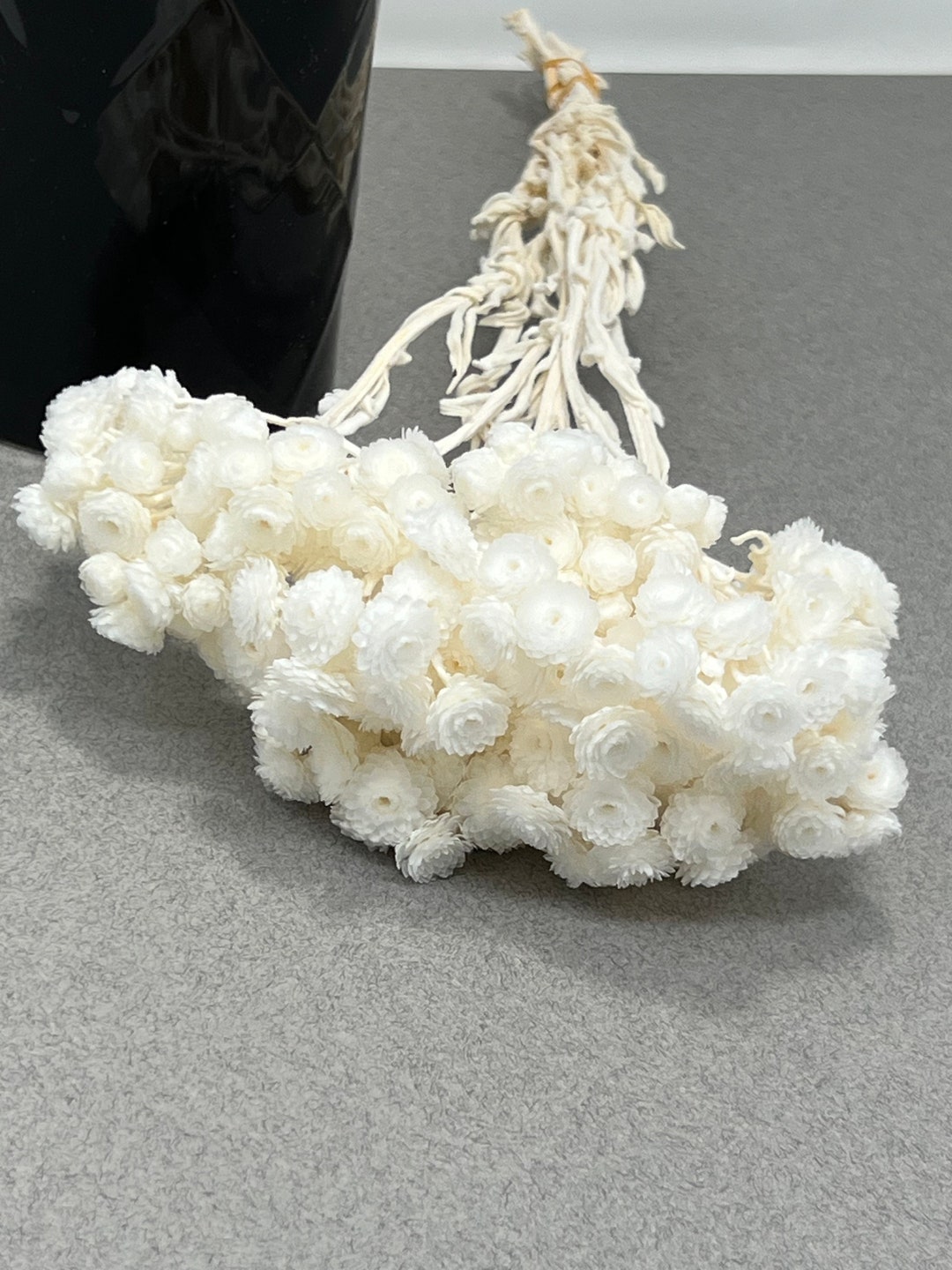 Immortelle Flower in White, Dried Flowers Stems, Wholesale Foliage, DIY ...