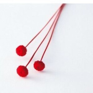 Amarely Flower in Red, It is a Dried Flower With a Unique Shape Like a ...