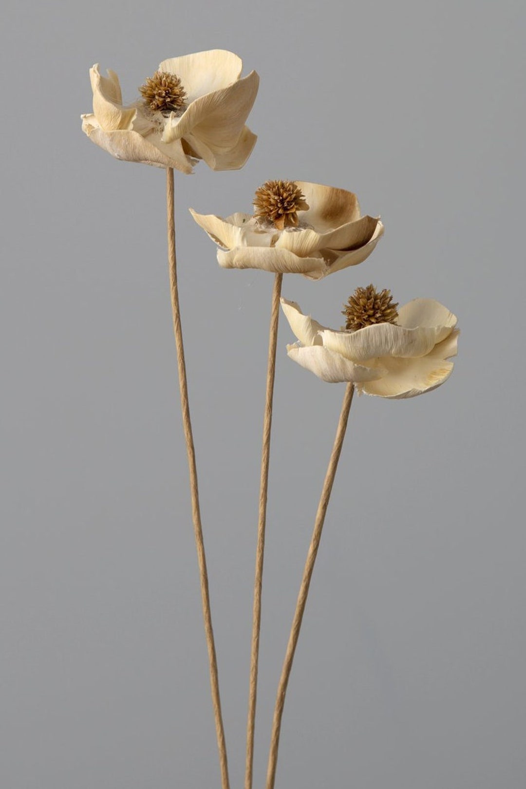 Handmade Sola Coco Flowers in White/beige Color. Impact Handmade Flower ...