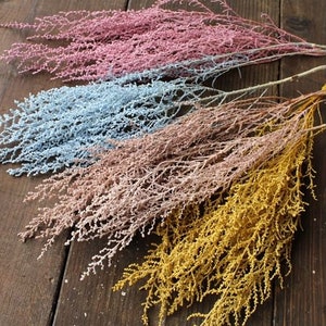 Wash Pink / Stoebe Leaf, Preserved Leaves Pack, Wholesale Foliage , DIY ...