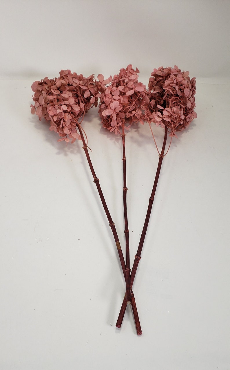 Mauve Pink/ Peegee Hydrangea W/stems High Quality Home Décor - Etsy