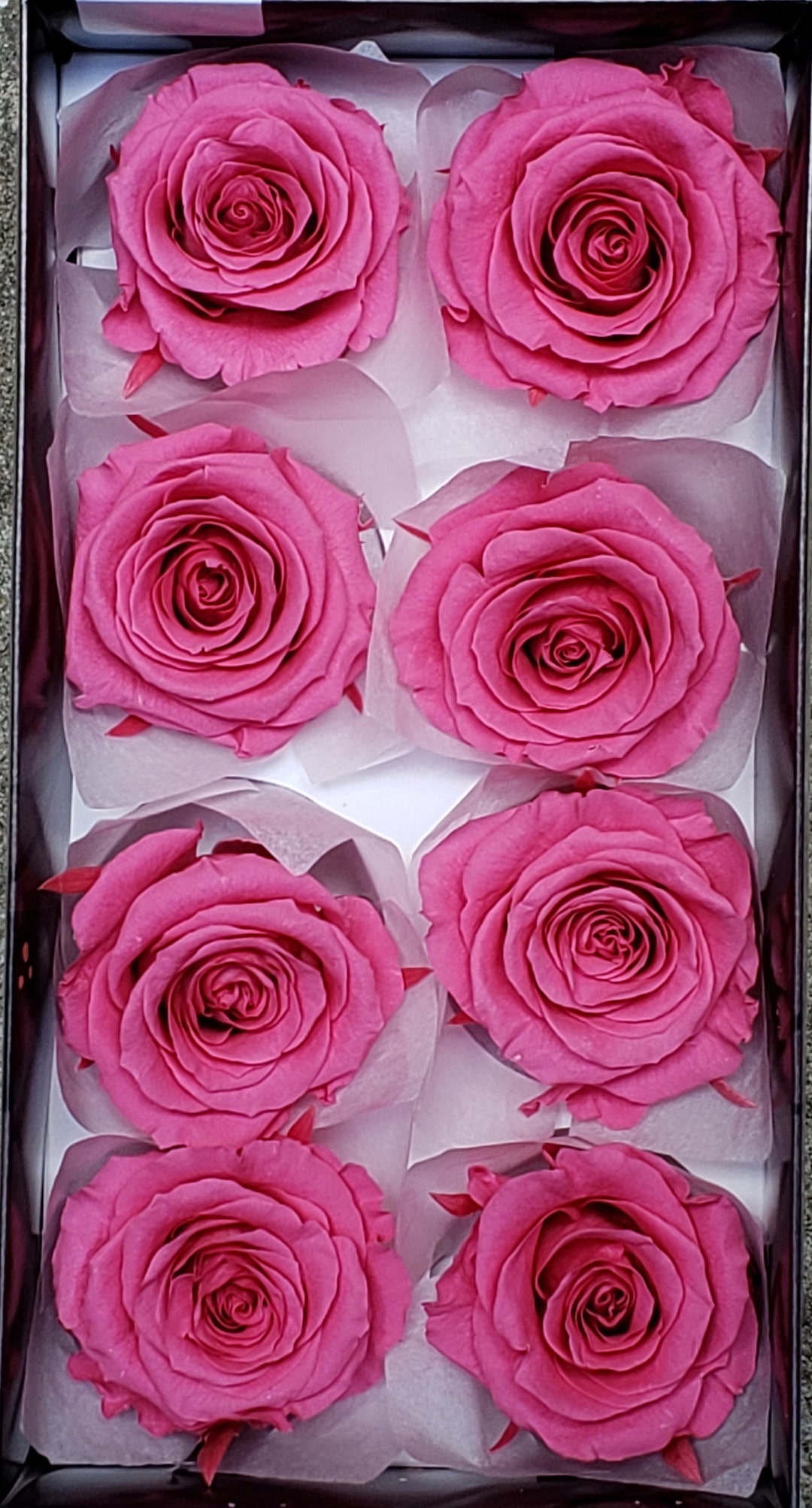Large Strawberry Pik Roses Japanese Preserved, DIY Flower Arrangements ...