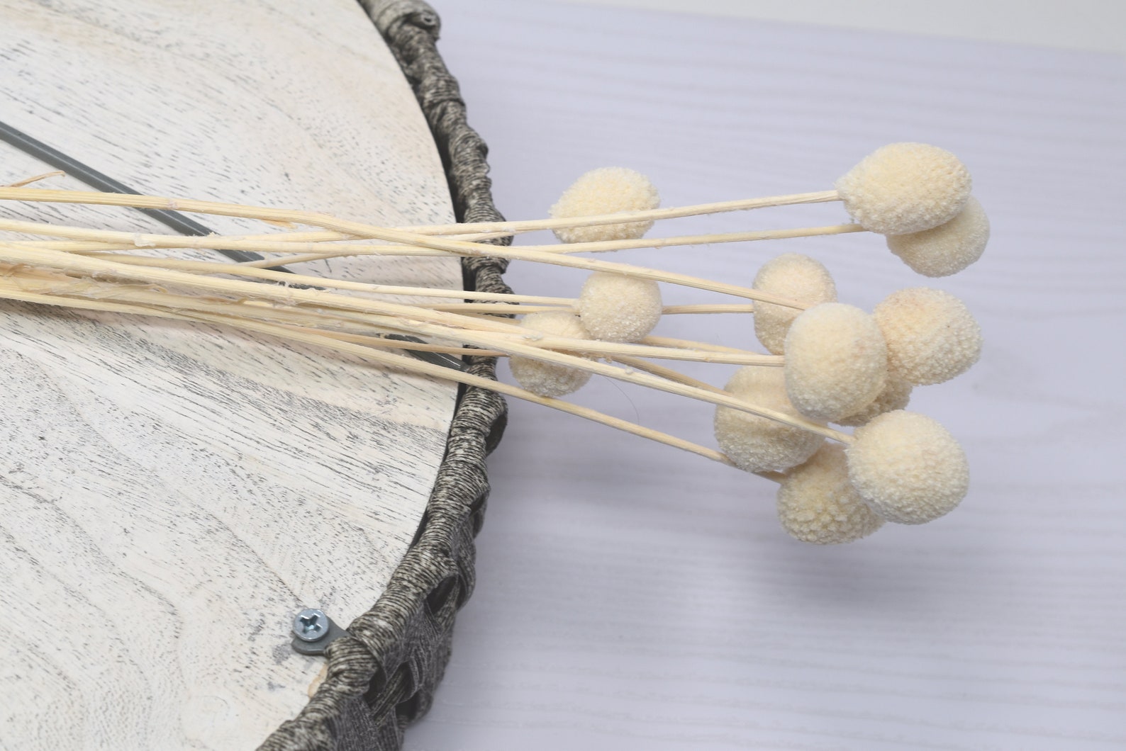 Billy Buttons With White Buttons Dried Foliage Stems DIY - Etsy