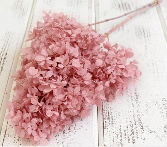 Cloud Pink / Peegee Hydrangea W/stems High Quality Home Décor - Etsy