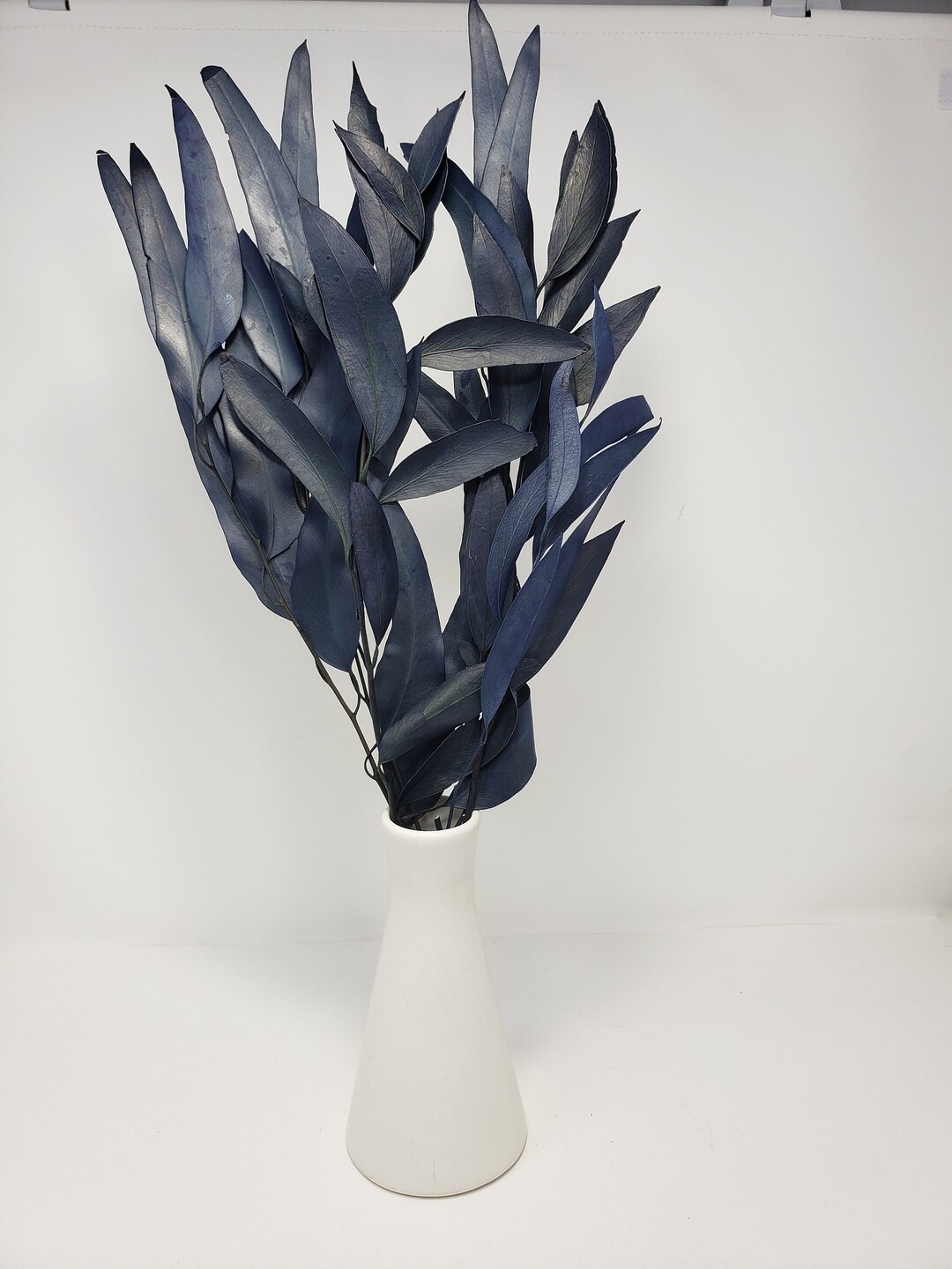 Natural Dried Willow Eucalyptus in Blue W/tint of Green , DIY Floral ...