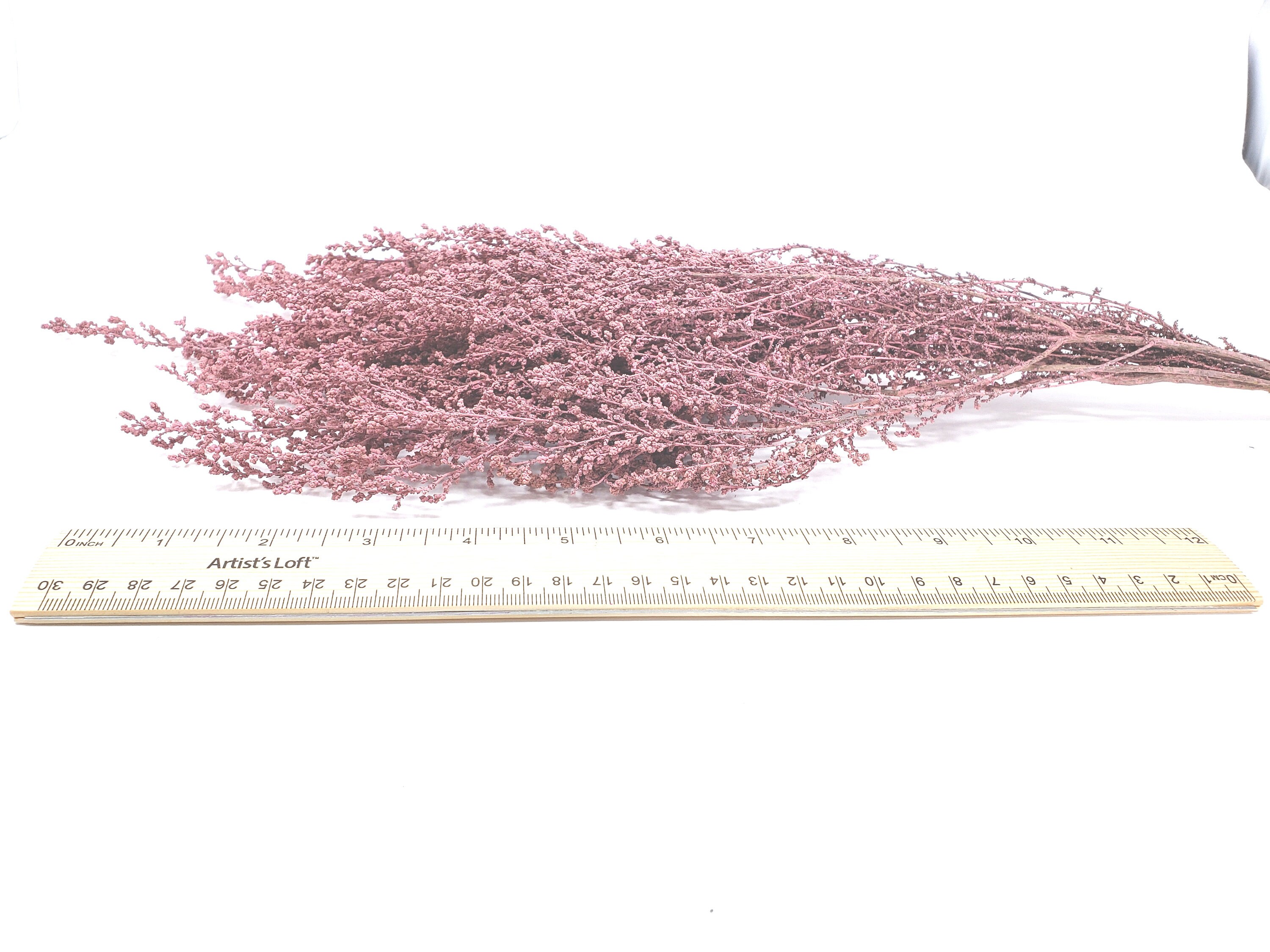 Wash Pink / Stoebe Leaf Preserved Leaves Pack Wholesale - Etsy