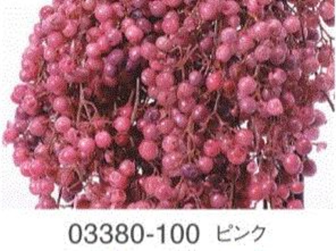 Free Shipping / Pink-pepperberry Preserved, Pepperberry With Cute ...