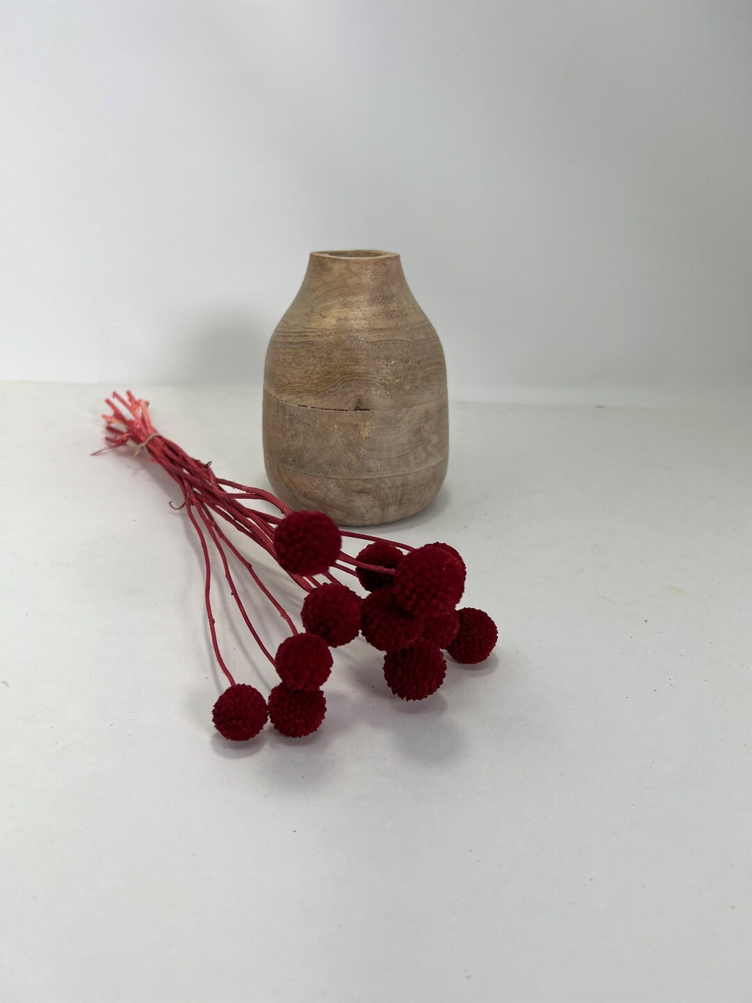Red / Billy Buttons, Dried Foliage Stems, DIY Floral Arrangements, DIY ...