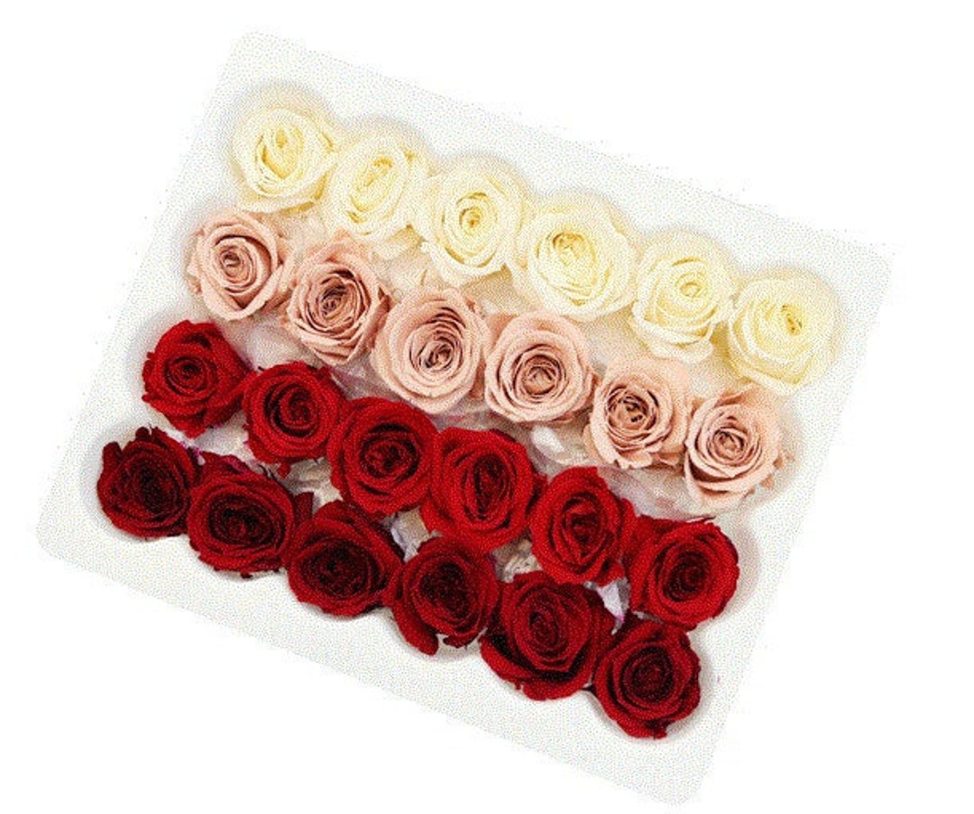 Red Mix Media Vivian Mini Roses Colors Mini Preserved Roses , Floral ...