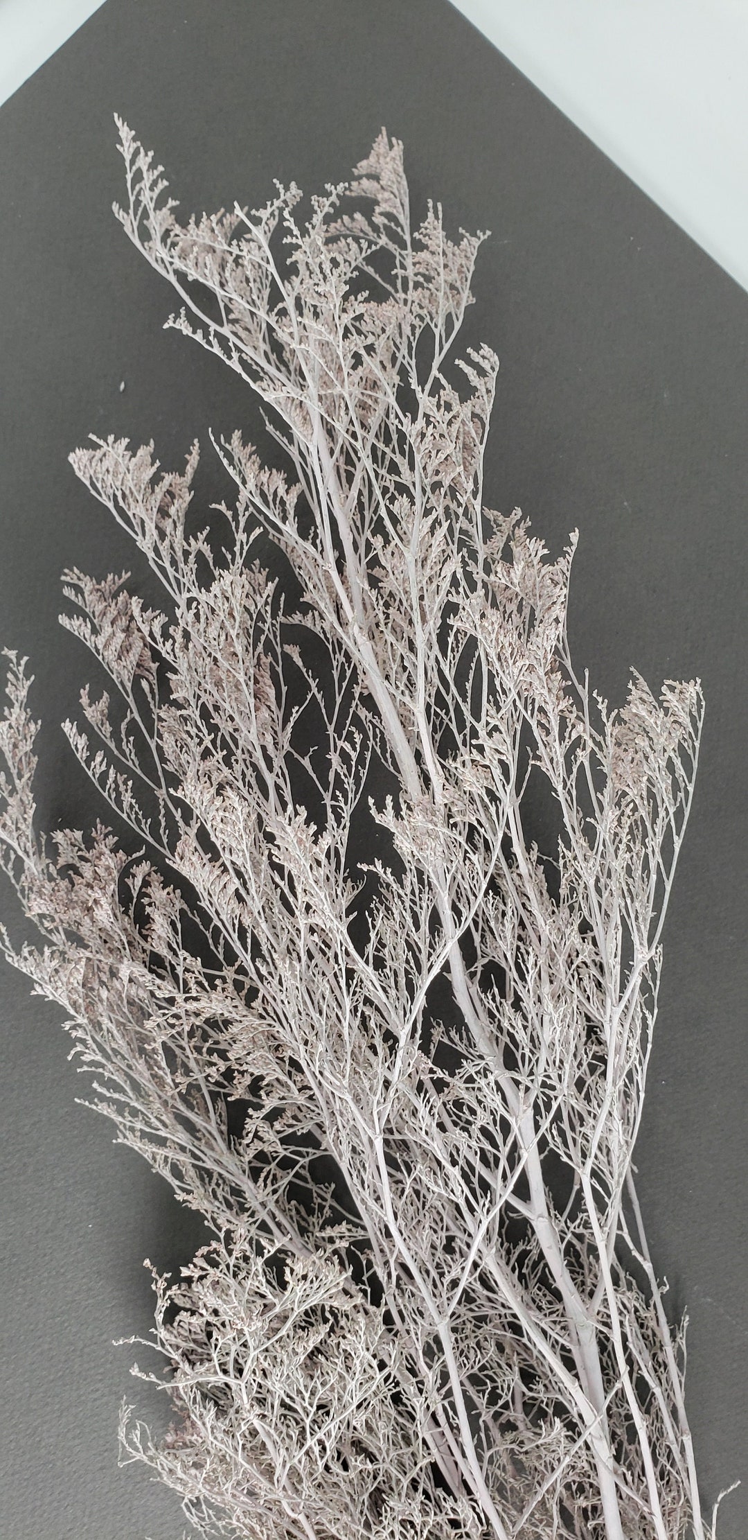 Matte Pink / Caspia Preserved, Floral Arrangements, Wedding Décor, Home ...