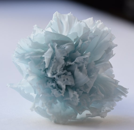 Blue Carnation Flower Arrangements