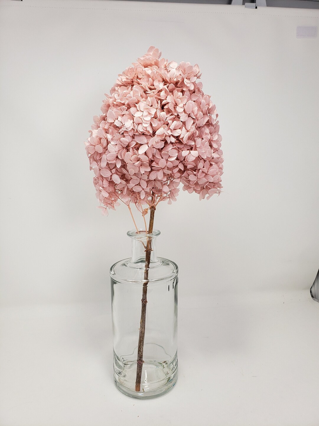 Cloud Pink / Peegee Hydrangea W/stems, High Quality Home Décor Flowers ...