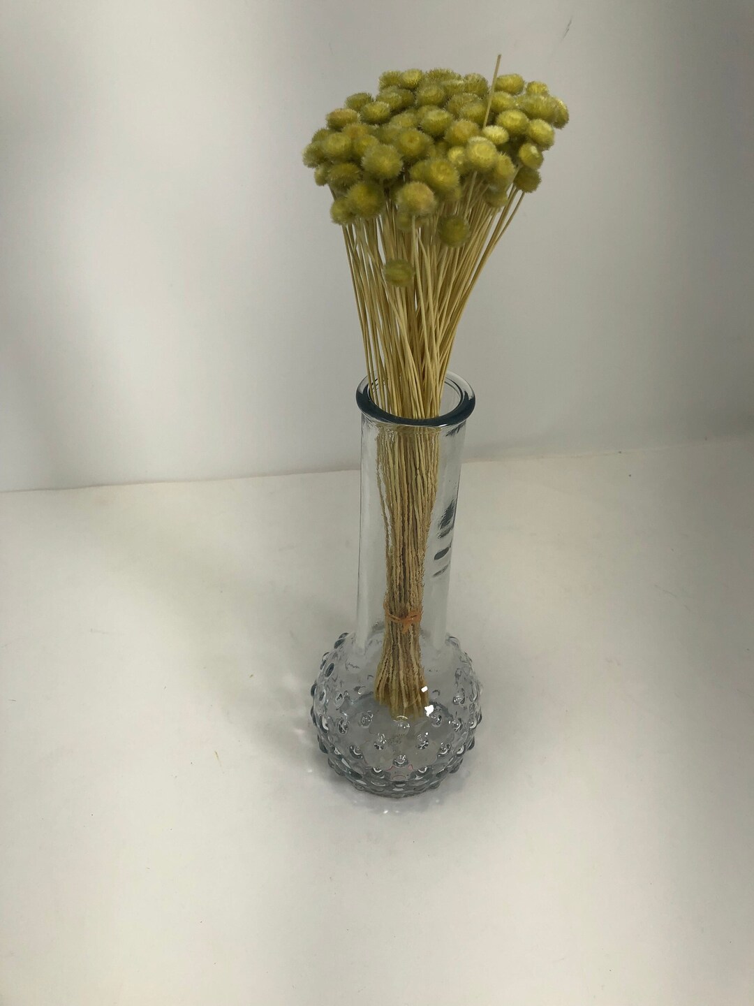 Amarely Flower in Spring Green, It is a Dried Flower With a Unique ...