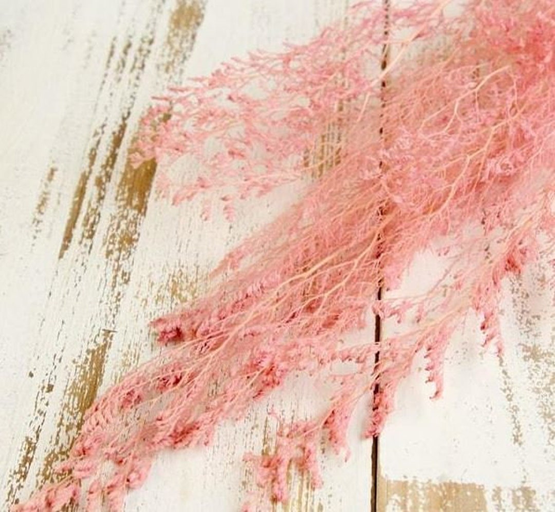 Caspia Preserved in Pink , Floral Arrangements, Wedding Décor, Home ...