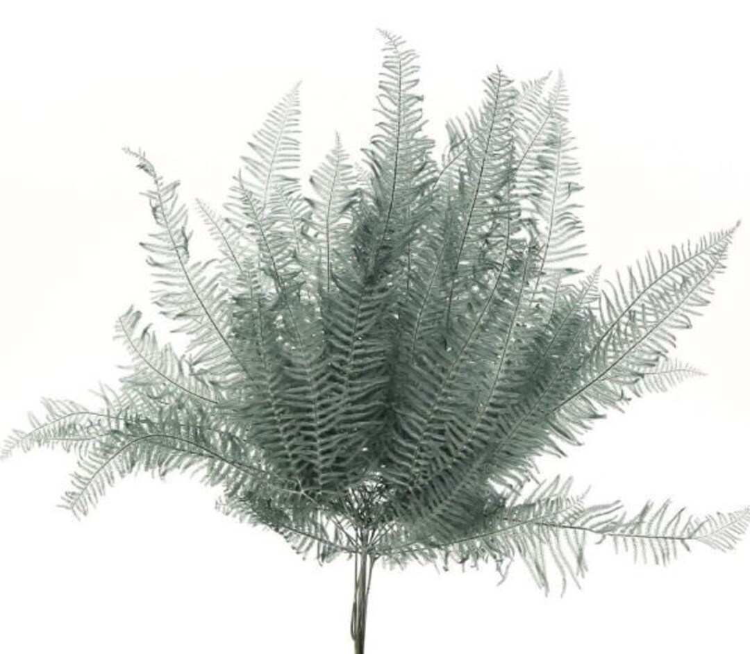 Turquoise Green / Preserved Mountain Fern Leaf, Preserved Leaves Pack ...
