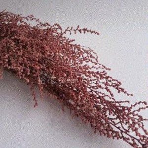Wash Pink / Stoebe Leaf, Preserved Leaves Pack, Wholesale Foliage , DIY ...