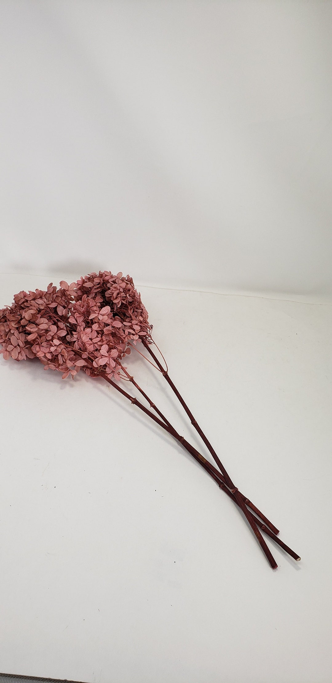 Mauve Pink/ Peegee Hydrangea W/stems High Quality Home Décor - Etsy