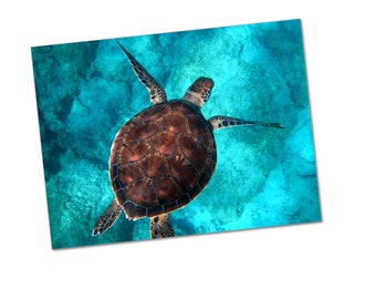 Sea Turtle Poster | Etsy