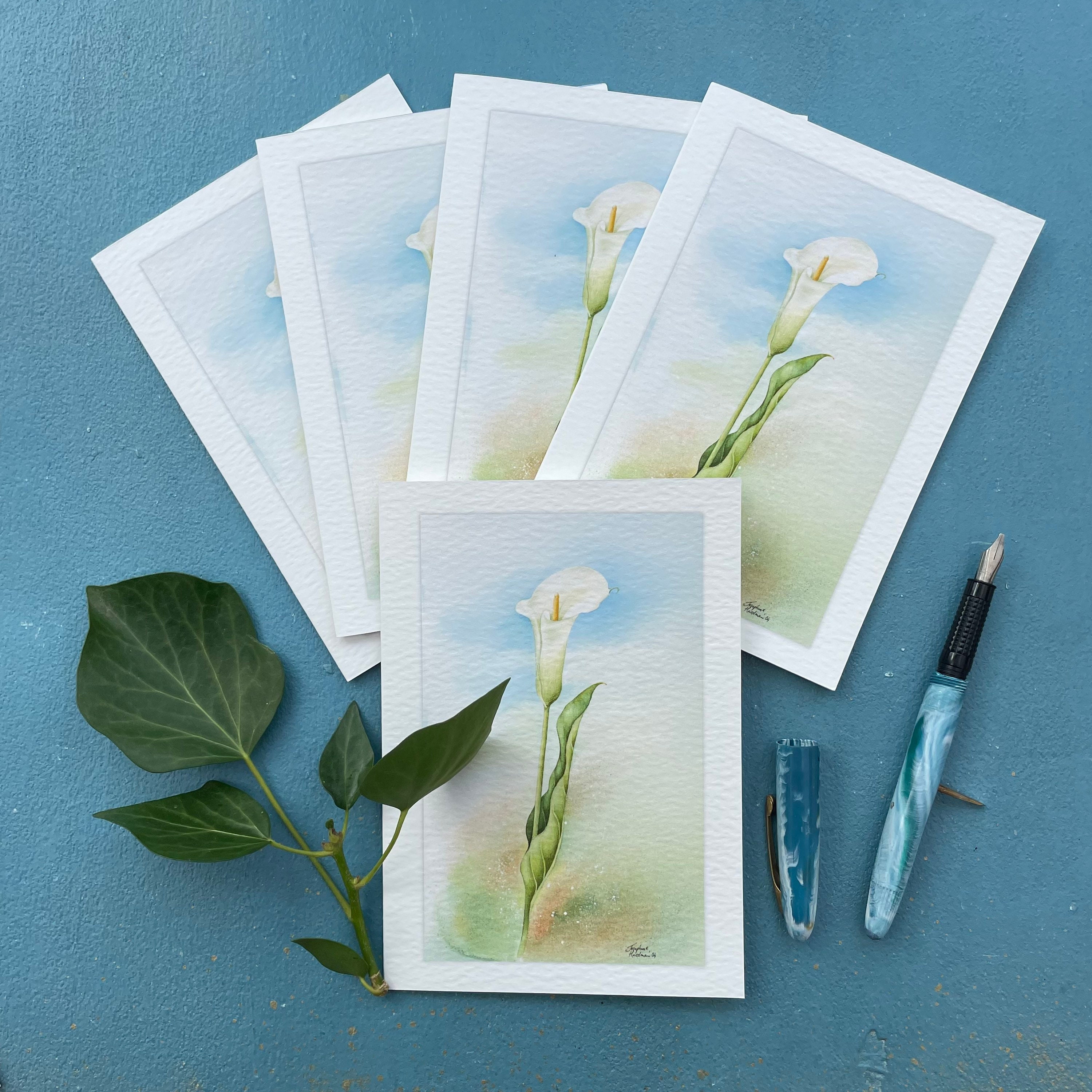 Calla Lily Botanical Art Cards Watercolour 5 Pack of Blank Cards - Etsy