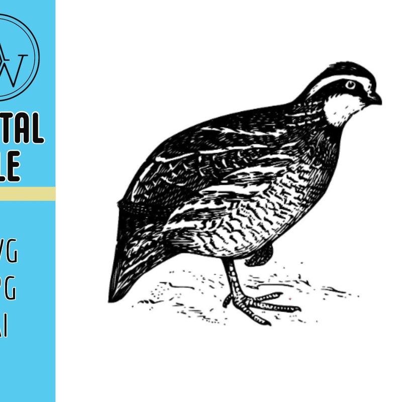 Quail Embroidery - Etsy