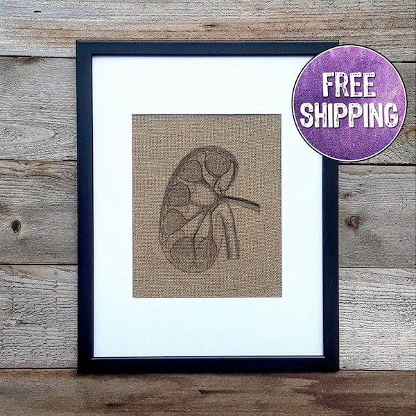 Urology Art - Etsy