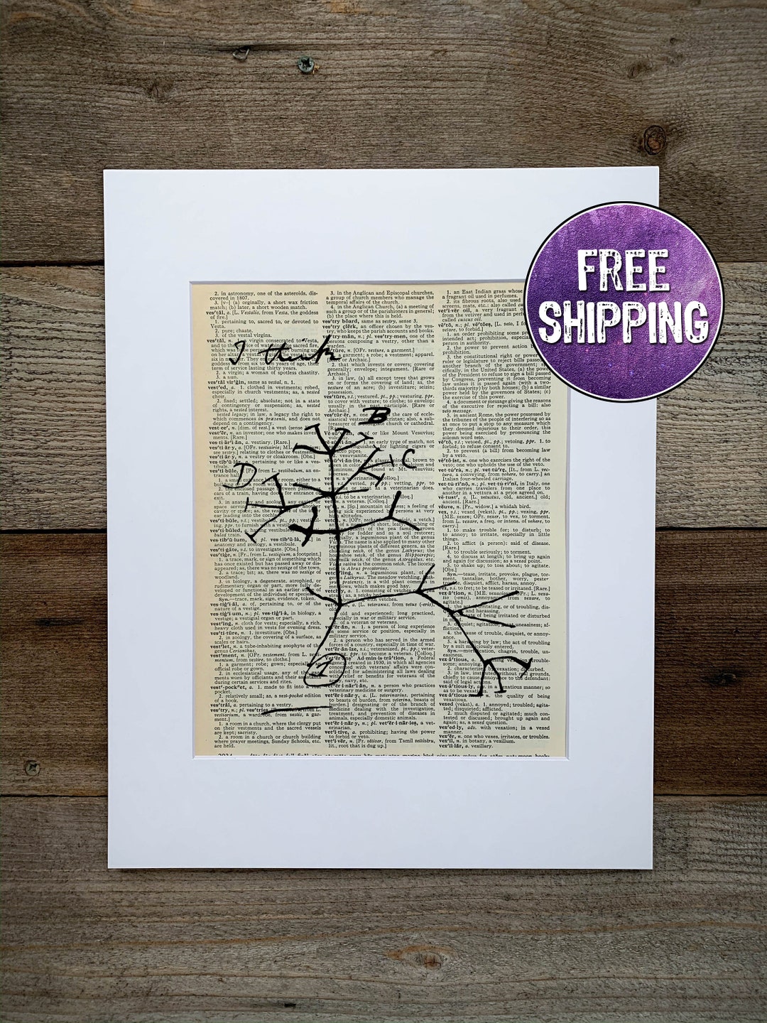 Charles Darwin's Tree of Life, "i Think", Evolutionary Tree Dictionary ...