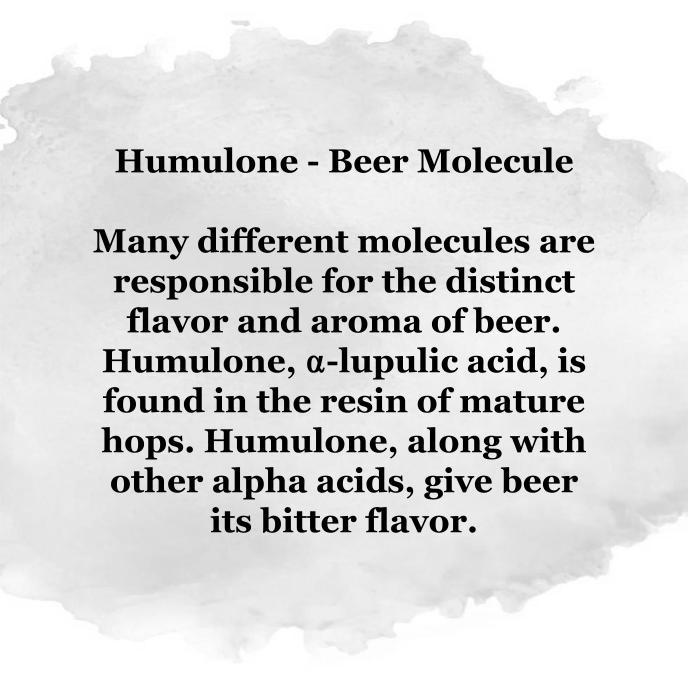 Beer Molecule Canvas Print – Modern Chemistry Wall Art for Home Bar or ...