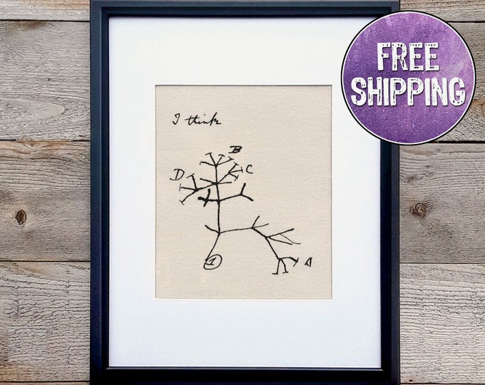 Darwin Tree of Life Print on Canvas i Think Evolutionary Tree Print ...