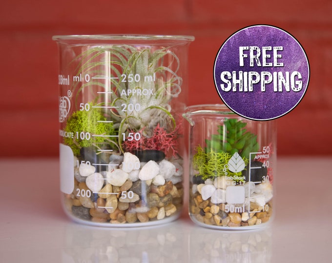 Double Beaker Terrarium Kit With TWO Beakers Natural Decor, DIY ...