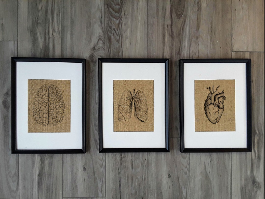 Brain, Heart, and Lungs Art on Burlap, Human Anatomy Wall Art, Anatomy ...