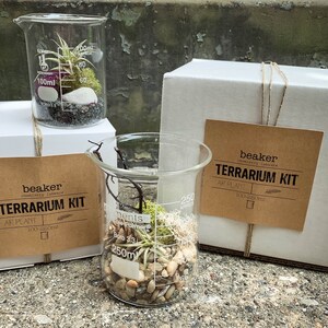 Double Beaker Terrarium Kit With TWO Beakers Natural Decor - Etsy