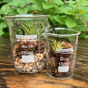 Double Beaker Terrarium Kit With TWO Beakers Natural Decor - Etsy