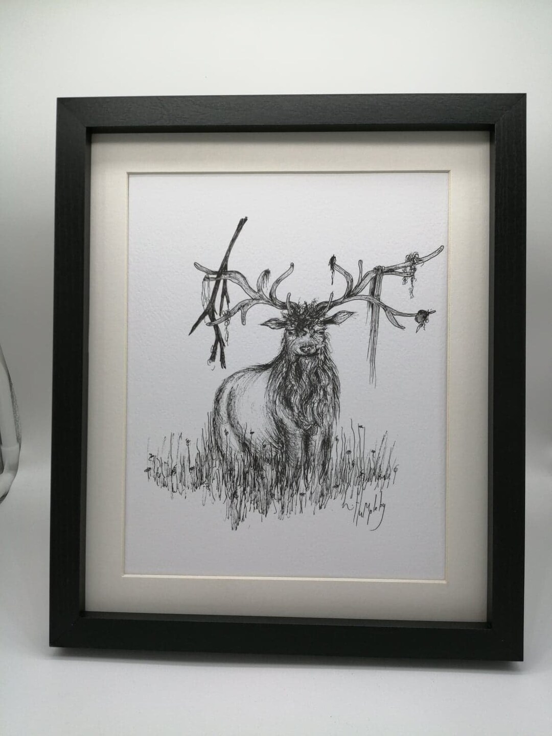 Stag Scottish Highland Stag Drawing Ink Drawing 'the - Etsy