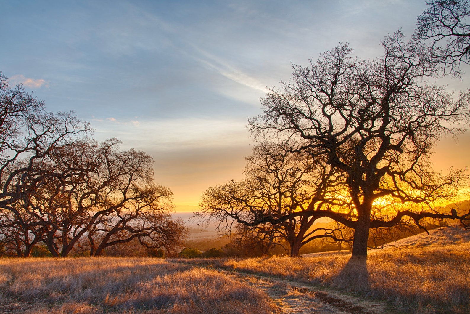 Sunrise With Trees 2: Landscape Photo Greeting Card - Etsy