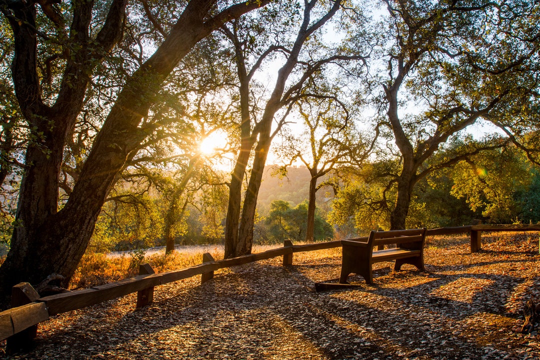 Bench at Sunrise: Landscape Photo Greeting Card - Etsy