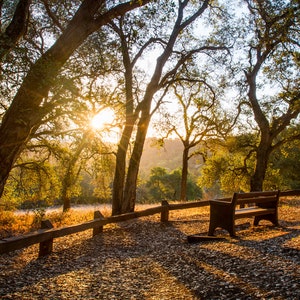 Bench at Sunrise: Landscape Photo Greeting Card - Etsy