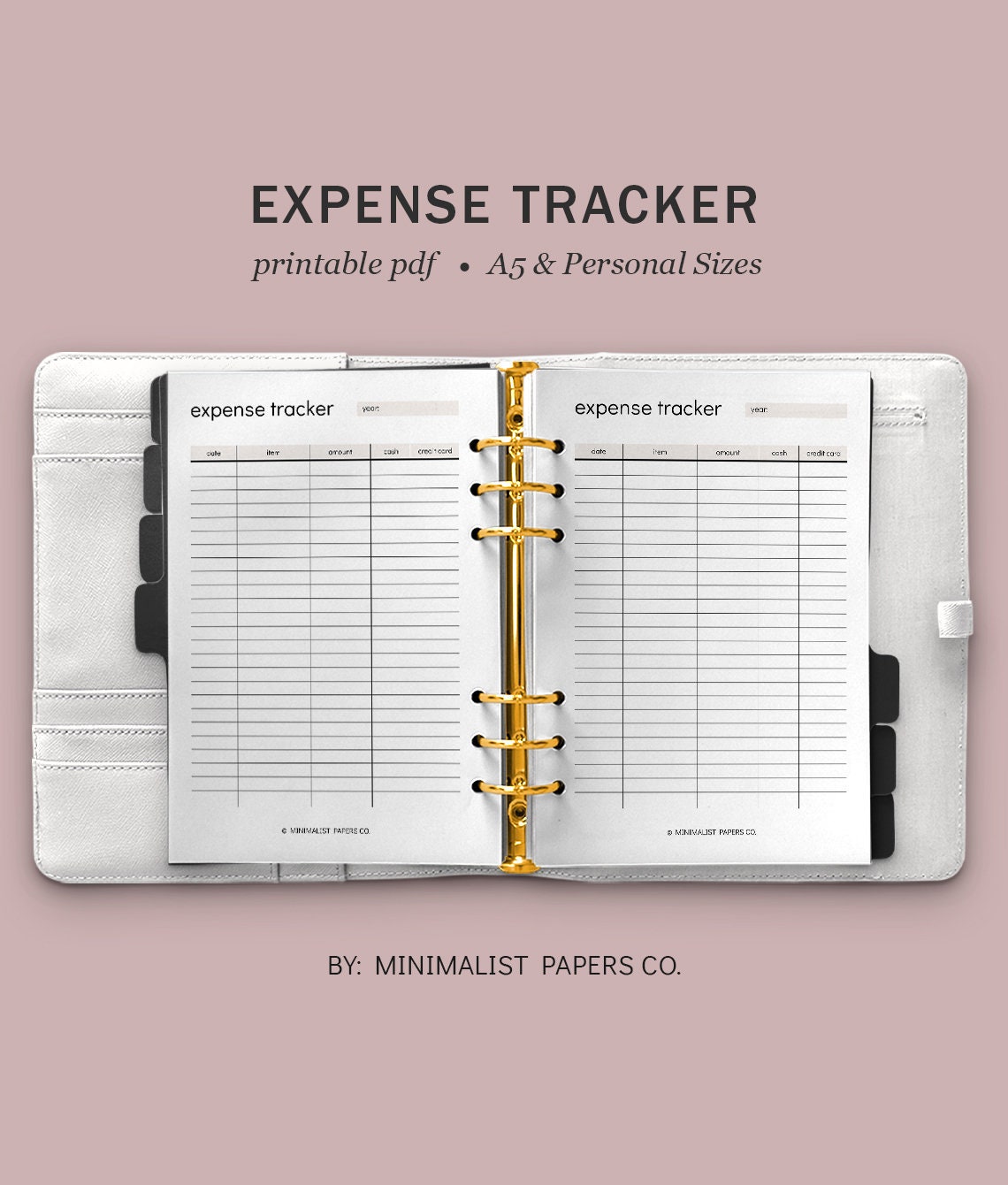 Expenses and Budget Tracker Spending and Budget Tracker - Etsy