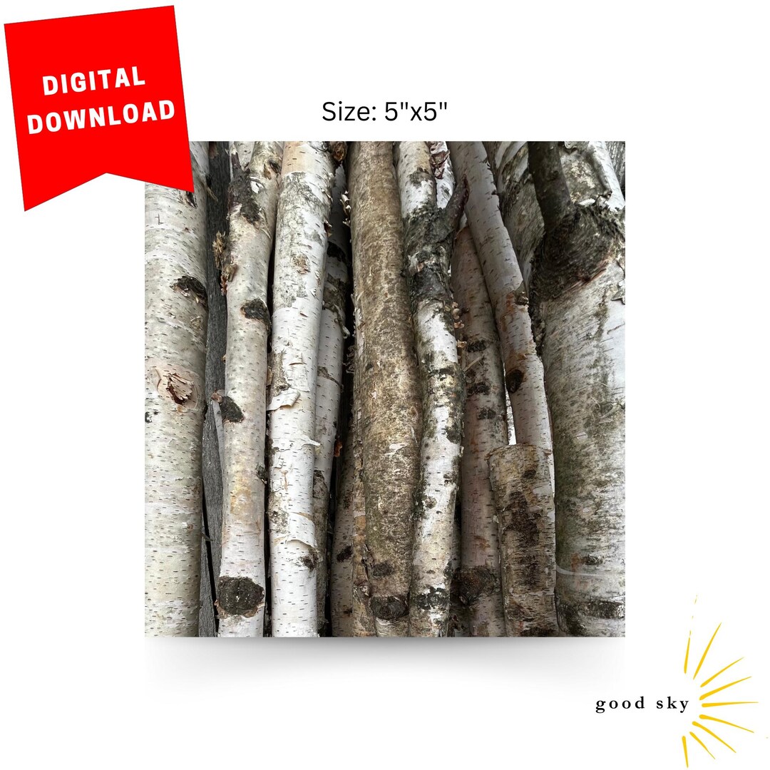Birch Tree Logs 5x5 Digital Download Printable Photograph Wall Art ...