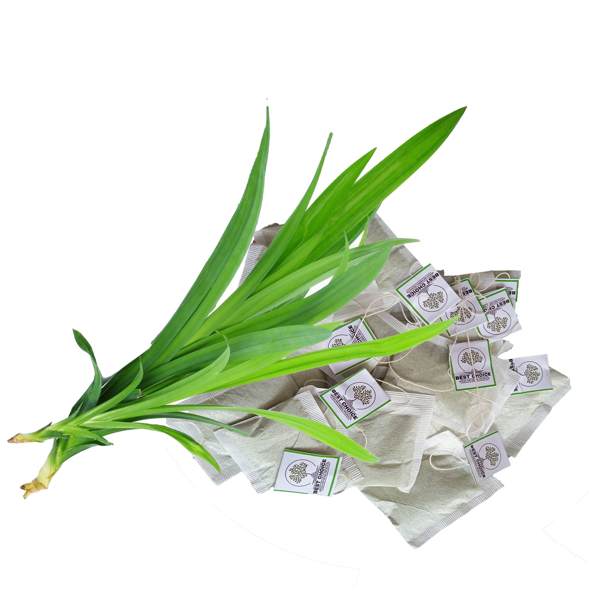 Organic Pandan (pandanus) Herbal Drink TEA- 40 TEA Bags - Etsy