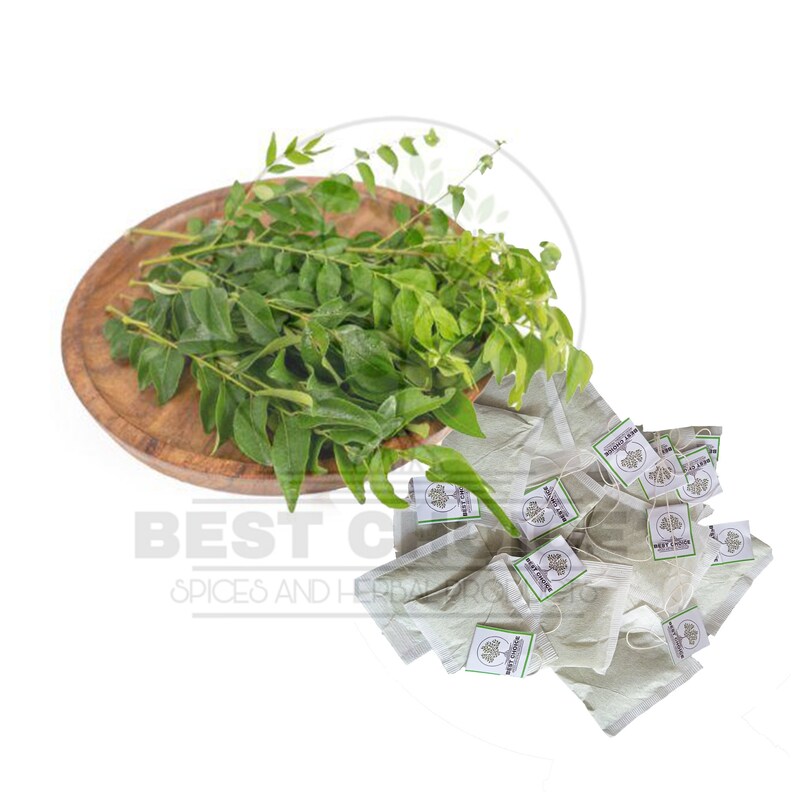 Curry Leaves Organic Herbal Drink ( Murraya Koenigii ) Tea Bags - Etsy