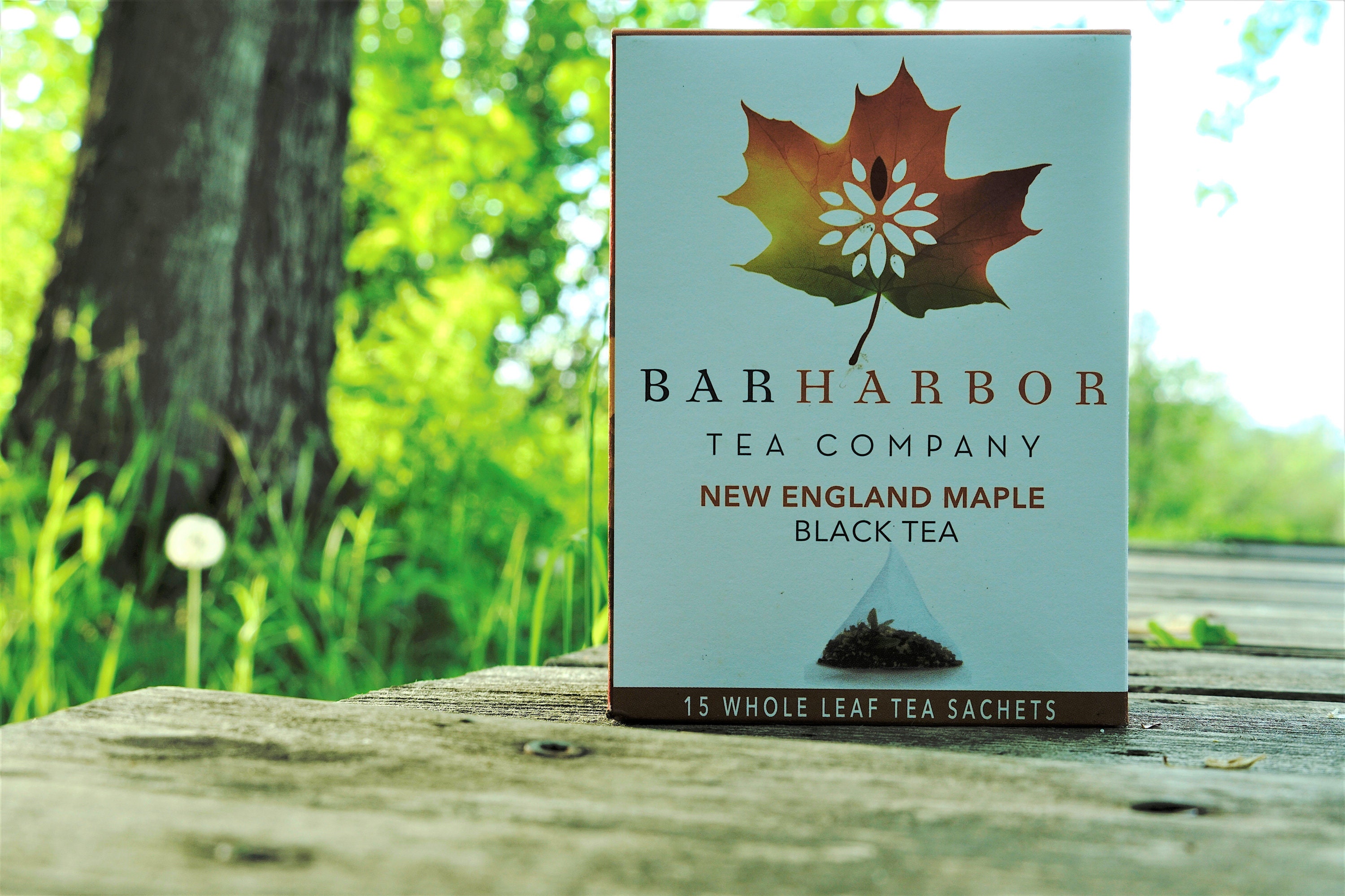 New England Maple Tea All Natural & Organic Box of 15 - Etsy