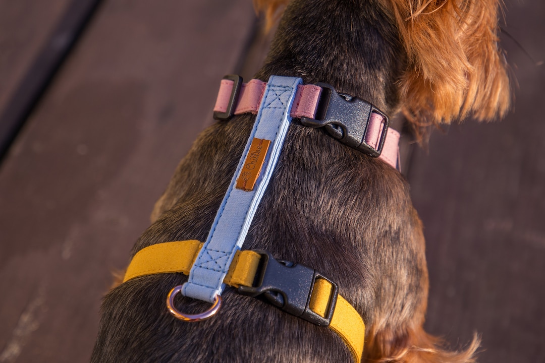 Pastel Teacup Dog Harness, Small Adjustable Dog Harness, Tiny Toy Dog ...