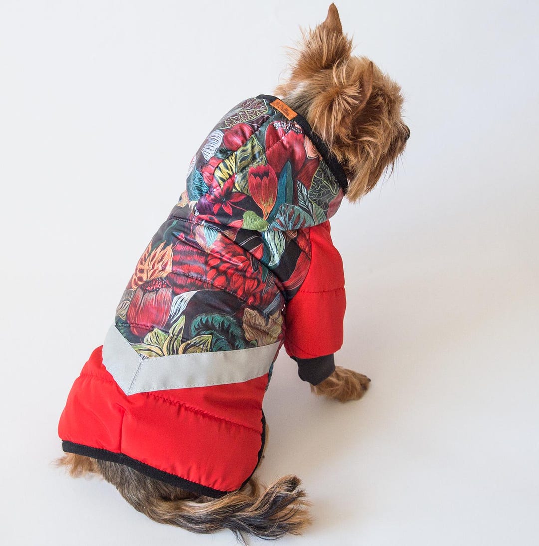 Teacup Dog Winter Coat, Custom Made Small Dog Jacket, Puppy XXS / XS ...