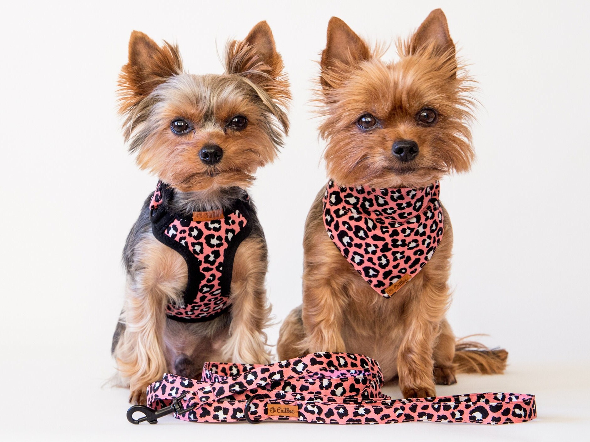 Xxs puppy harness store