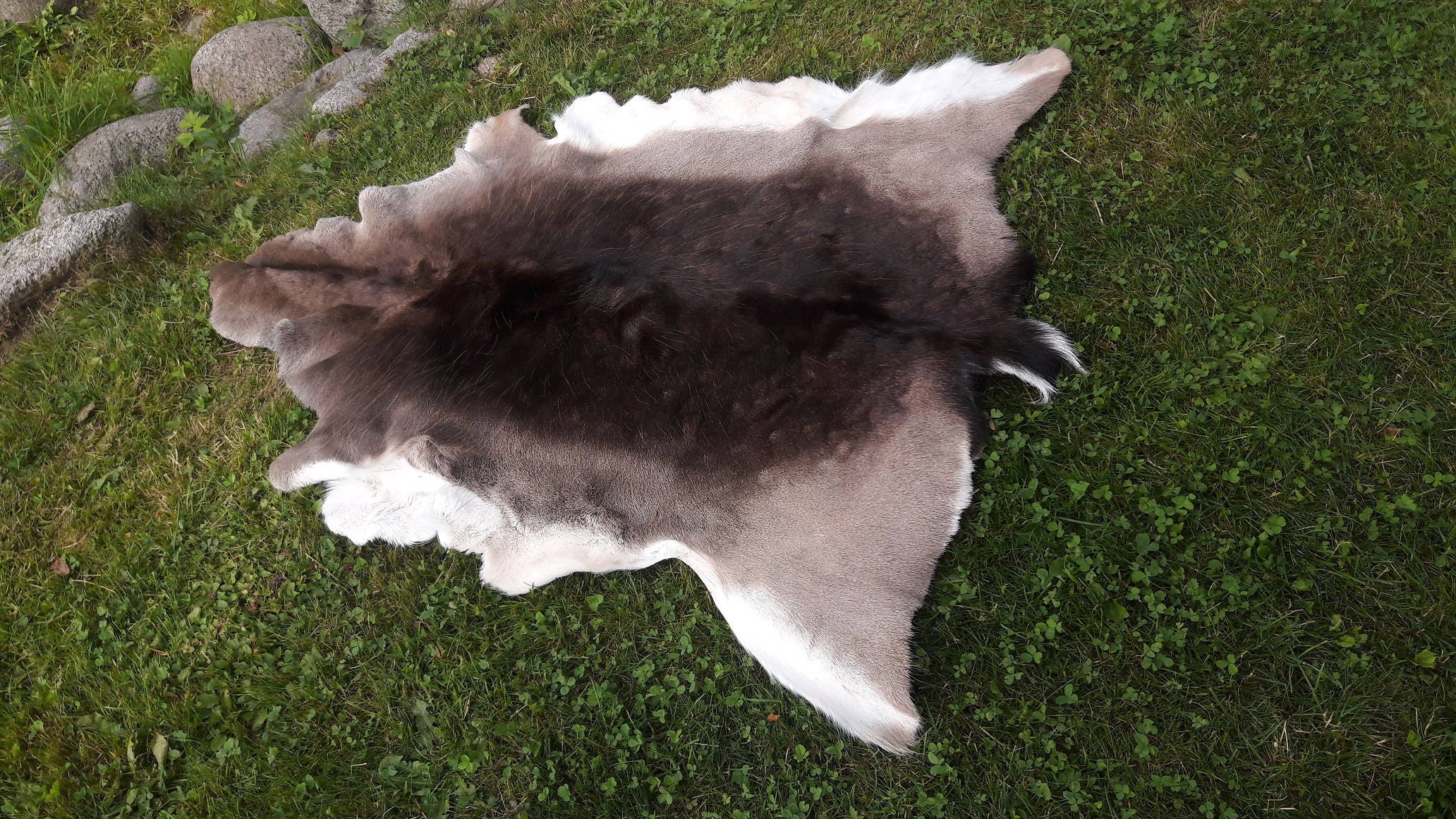 Natural Fallow Deer Hide Decorative Rug Amazing gray color